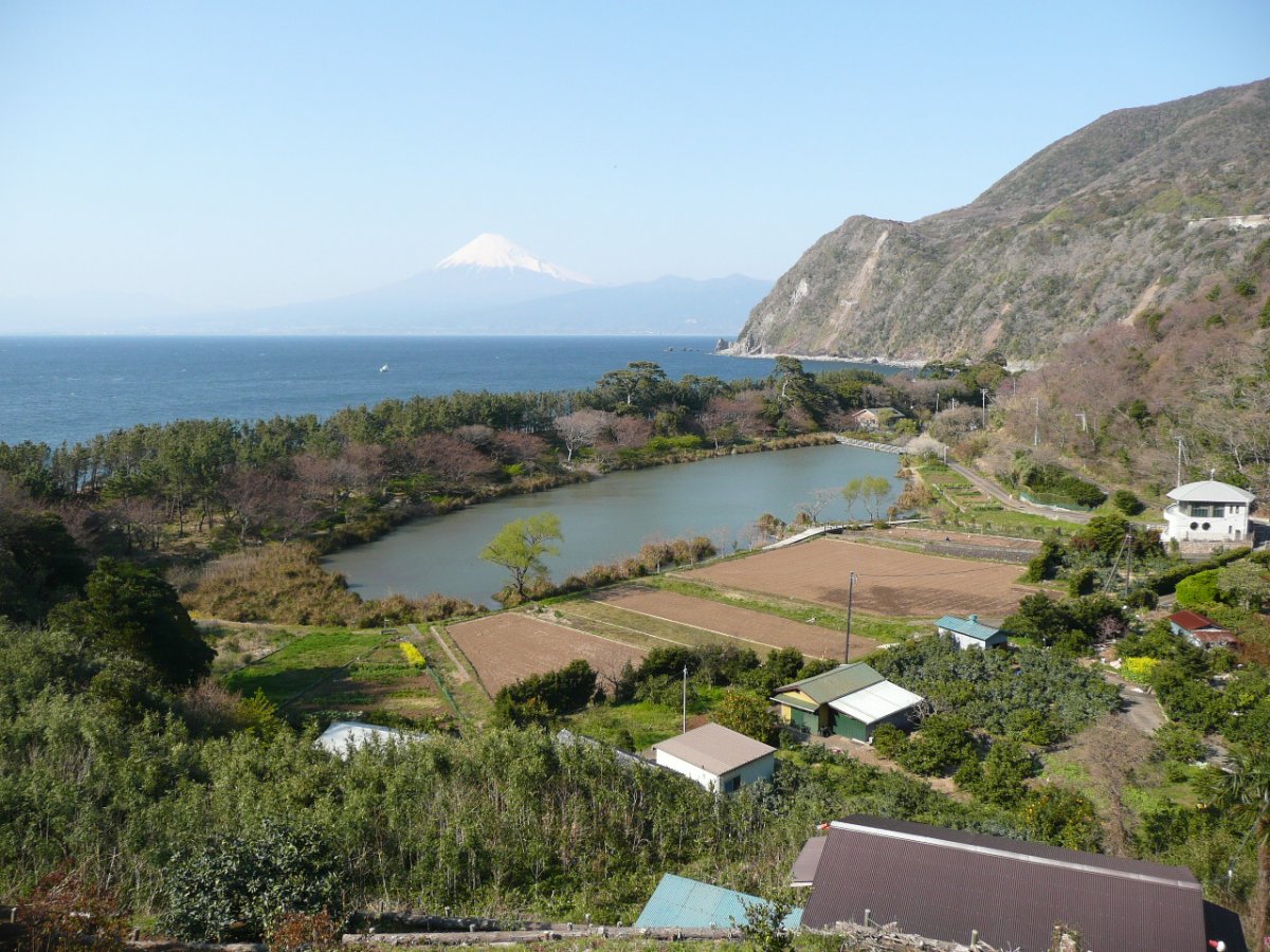 井田｜見る・遊ぶ｜沼津市公式観光サイト【沼津観光ポータル】